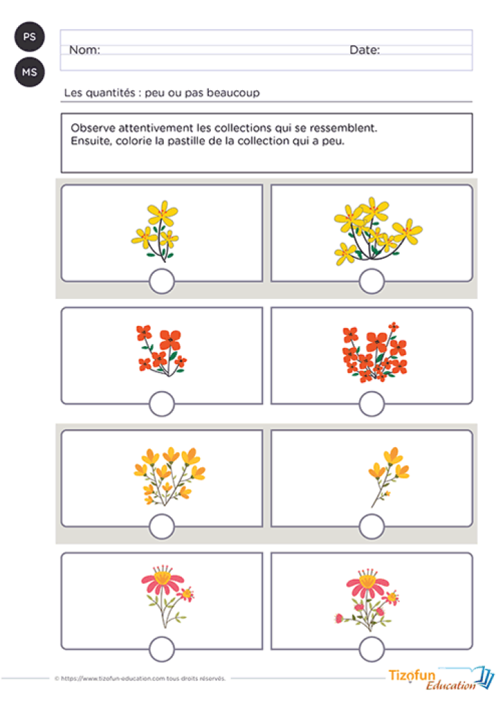 La notion de quantité : peu/beaucoup – iProf Éducation Ressources ...